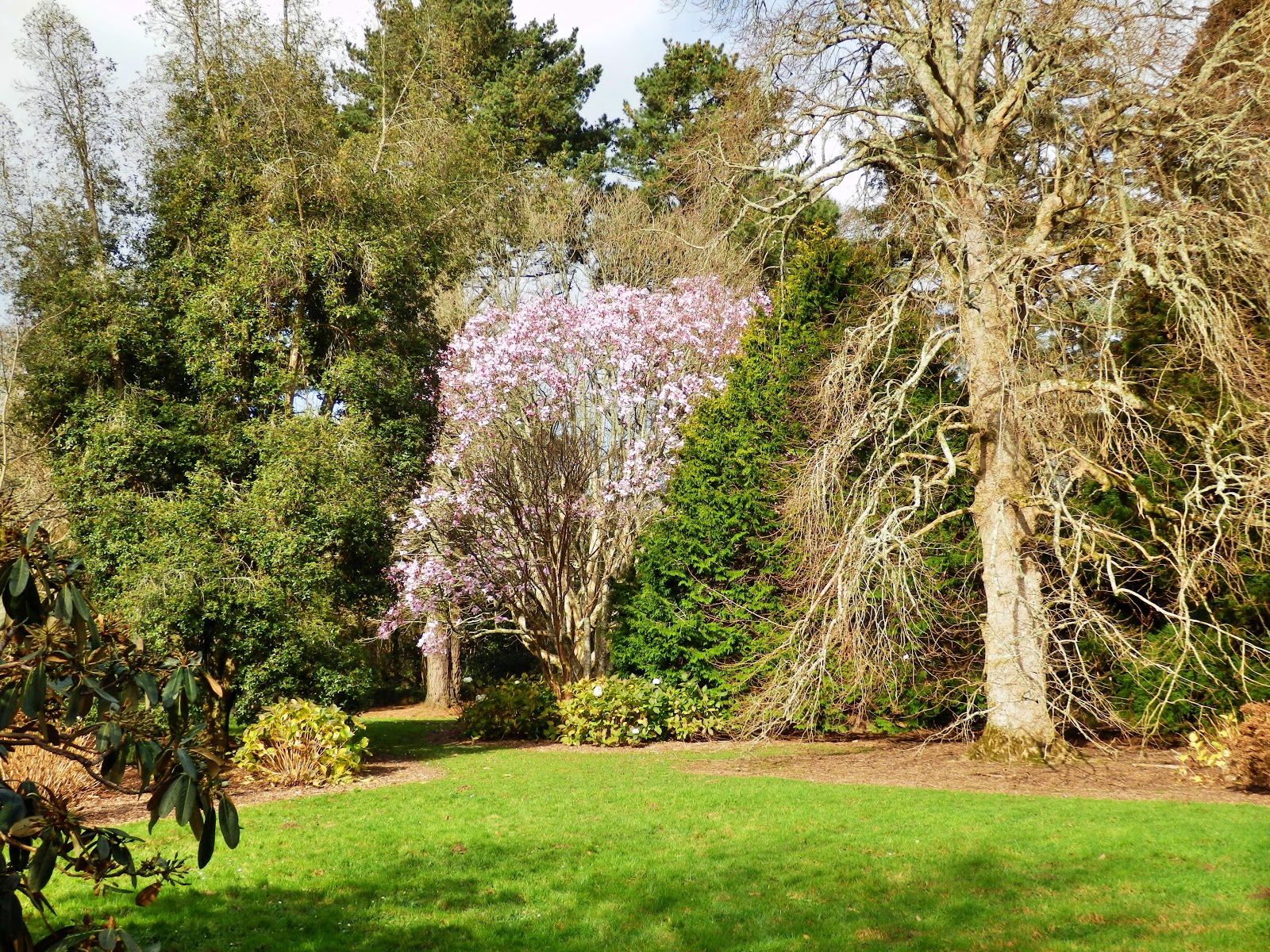 Mike's Cornwall: Trelissick House and Gardens With Stunning Maritime Views