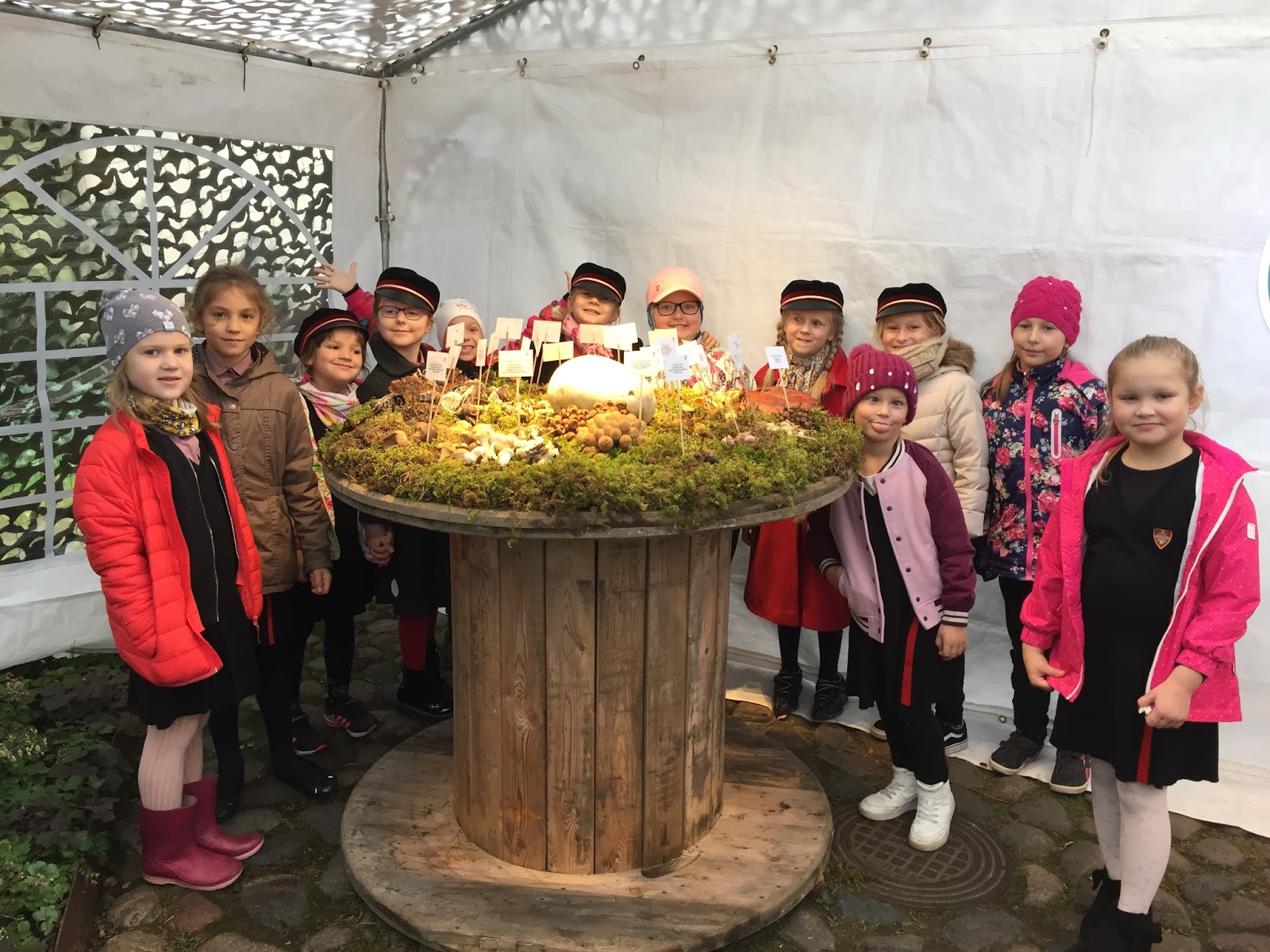 Margiti klassi blogi: Mis meeldis Loodusmuuseumis kõige rohkem?