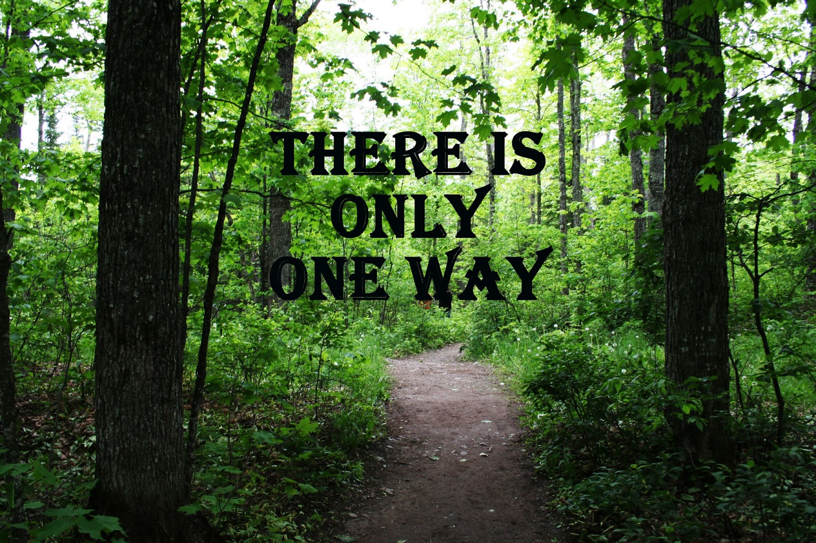 Live Life Only One Way live-life-only-one-way