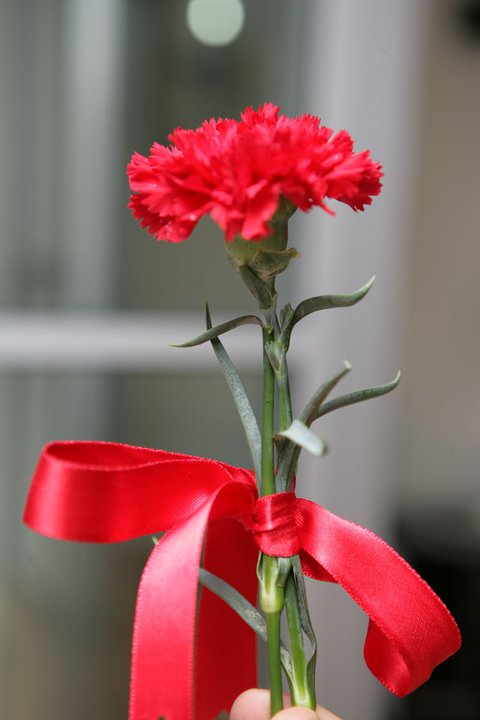 SlAvKo JOVIČIĆ SLAVUJ: СРЕЋАН ДАН ЖЕНА