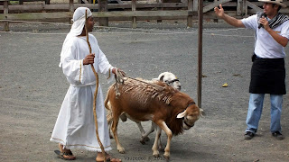 Parque panaca sabana: ESTACIÓN GANADERÍA: