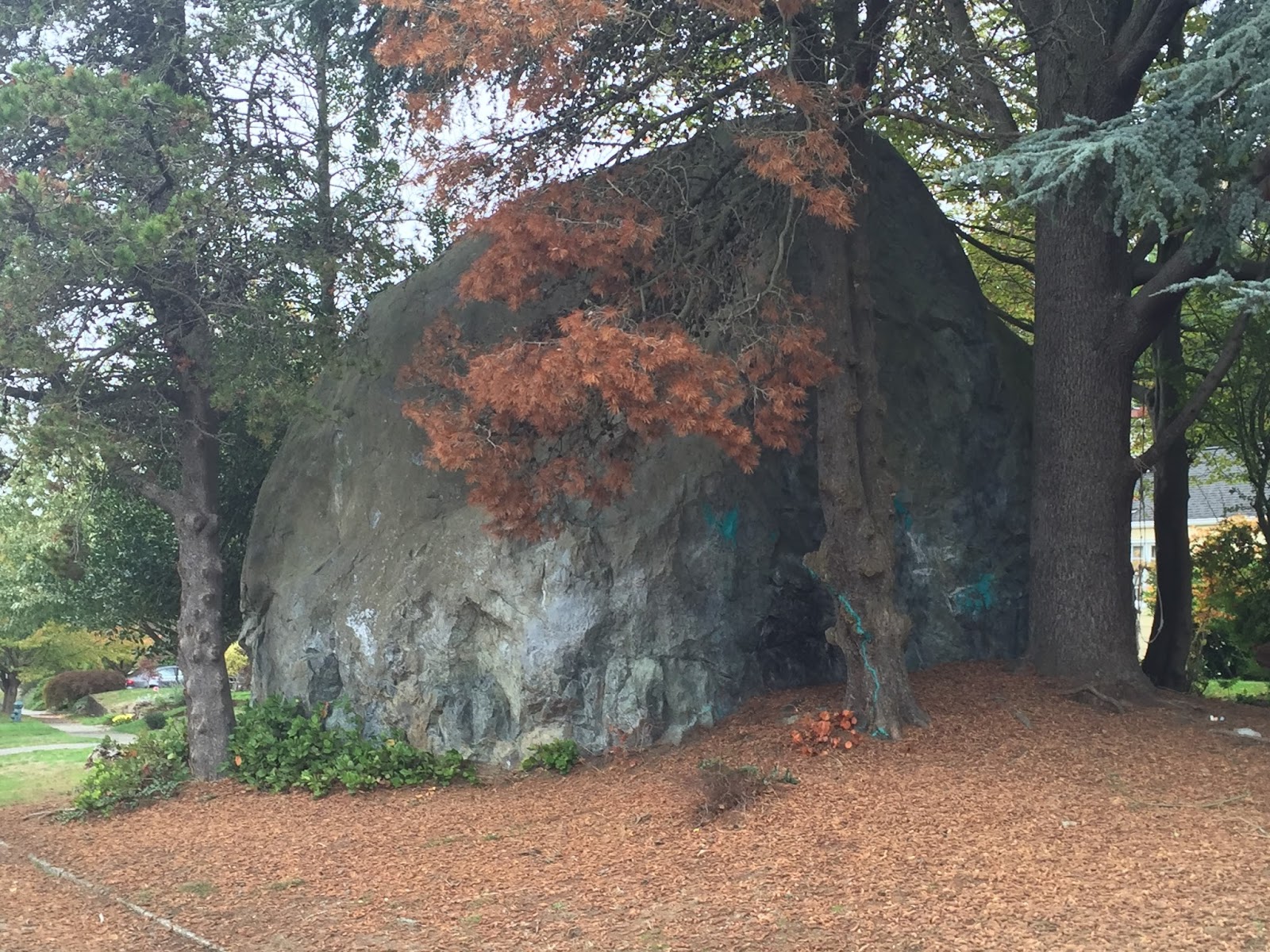 Boren Park, ENVIR 280 Journal: Erratic In Seattle - Seattle Erratic ...