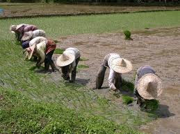 ..ENJOY BOHOL.!. :)): BOHOL COSTUMES AND TRADITIONS