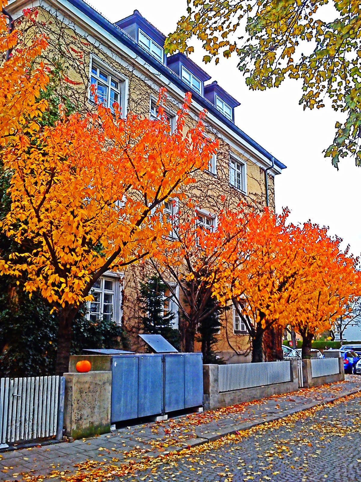 Nanda & Nathan The Travellers: Fall Foliage in Munich, Germany