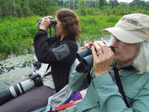 Birding Is Fun!: All These Mind Blowing Birds and Learning To Draw Them ...