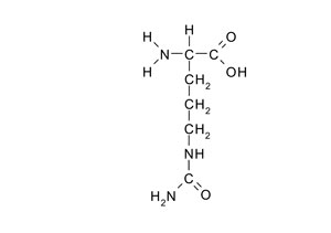 Alimentazione, erbe, integratori, creme e le ultime scoperte per vivere ...