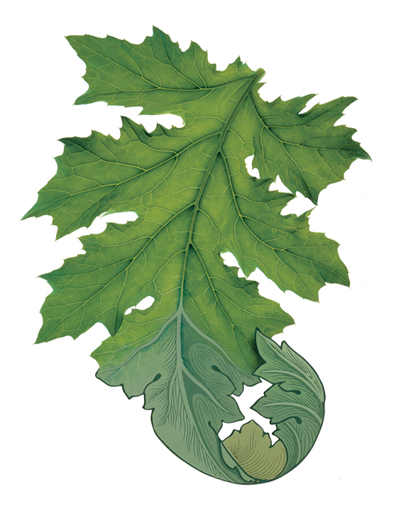 A Library of Design: Gardens, Fashion, Interiors & Glamour: A Botanical ...