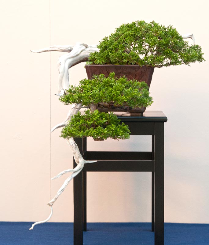 Walter's Travelogues: EBA 2011 the EBA tree exhibit #2