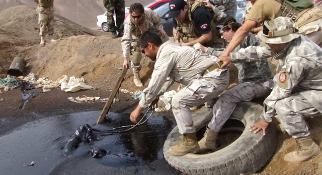 EL CAJON DE LOS CONOCIMIENTOS: ALQUITRÁN