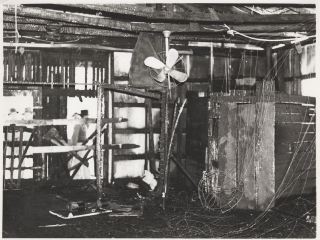 Rhythm Club fire ~ Everything You Need to Know with Photos | Videos