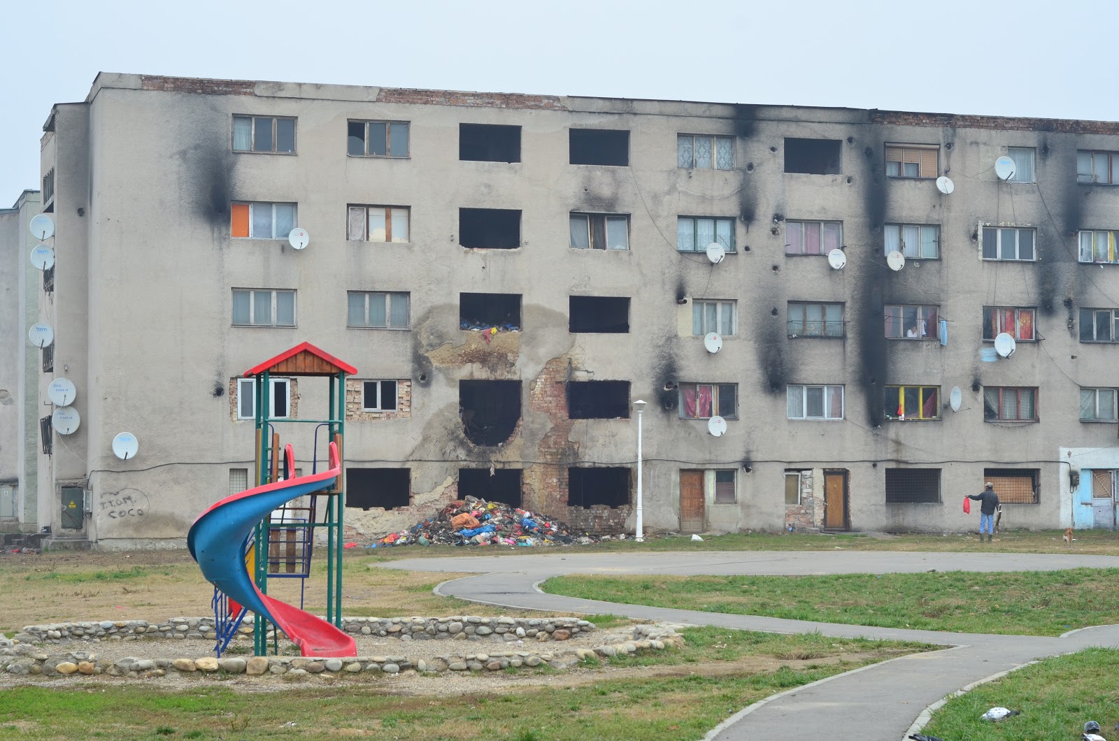 cioara vopsită: Viaţa e la televizor. Lasă, bă,