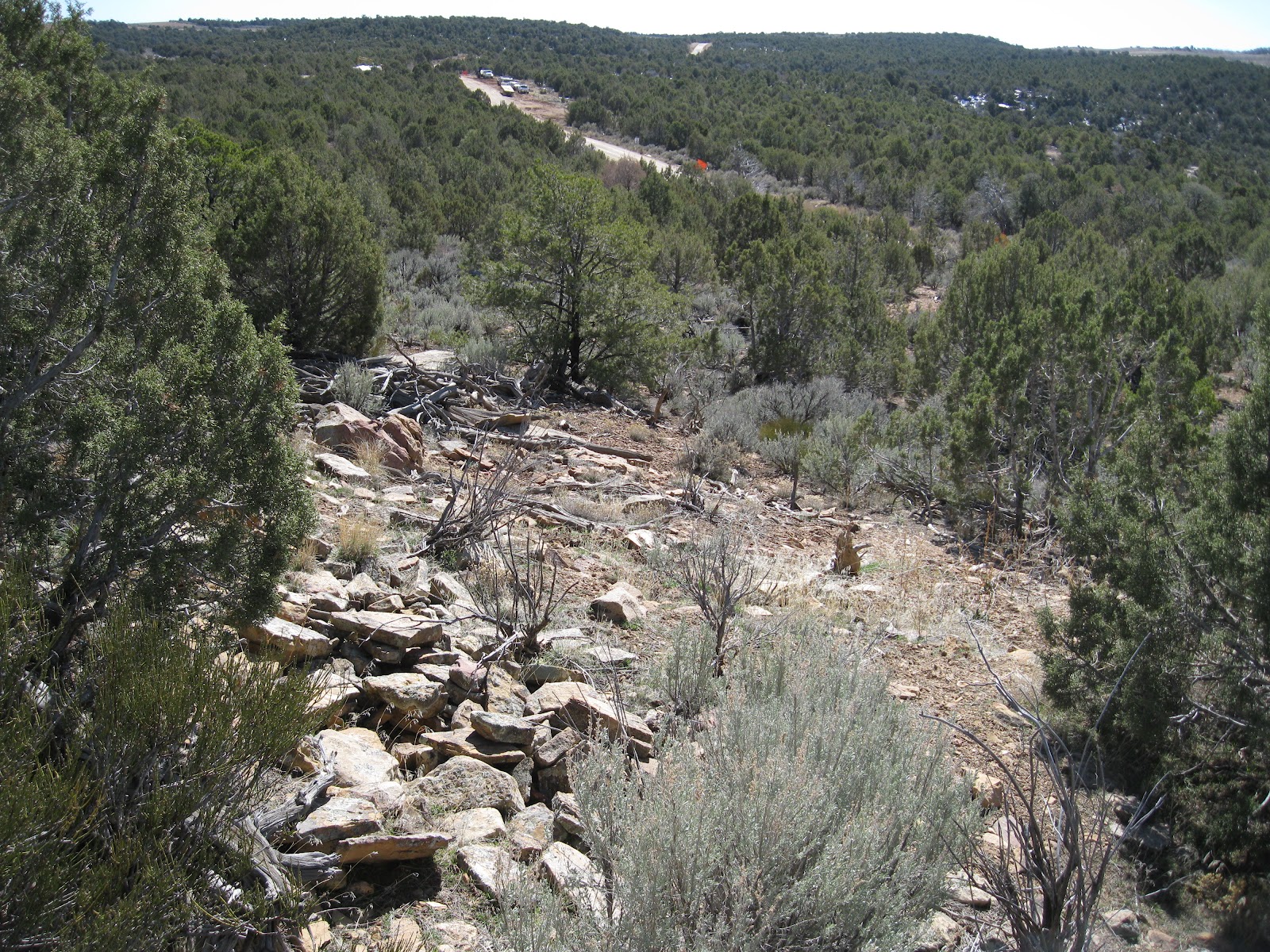 Four Corners Hikes-Canyons of the Ancients: Burro Canyon Southeast