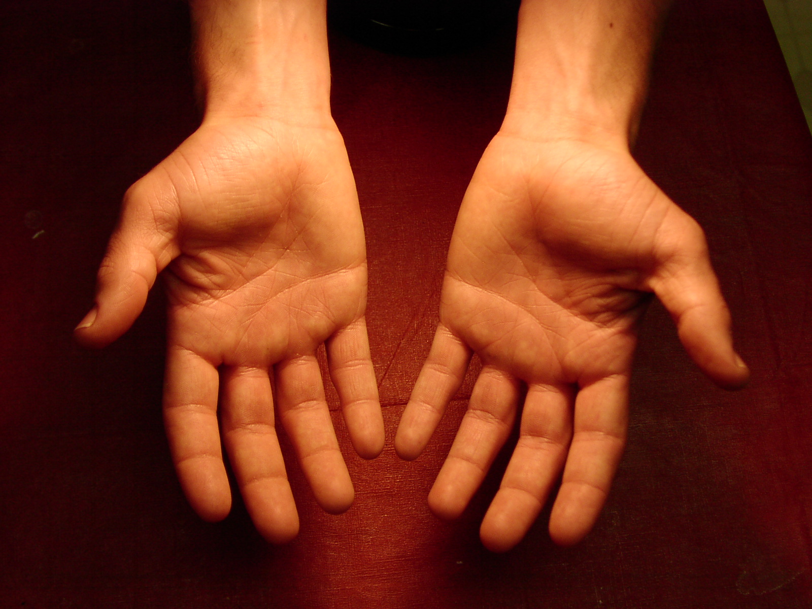 Fondo de Escritorio de Manos de Humanos - Fondos de Pantalla HD ...
