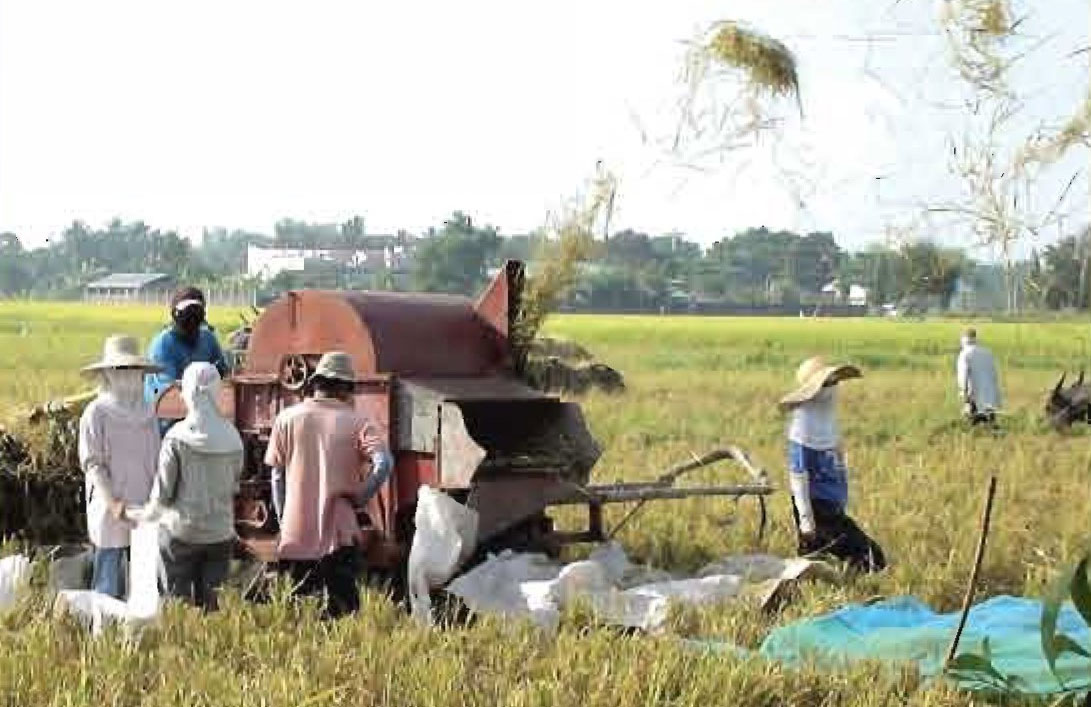 Why invest in agricultural inputs?