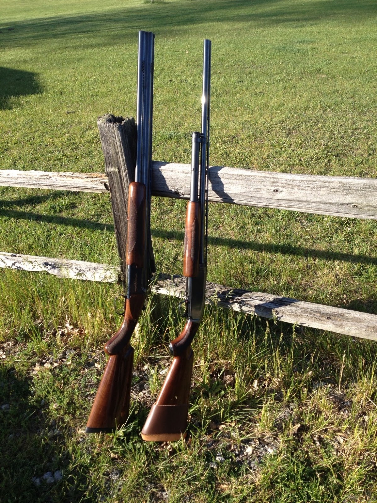 A Wild Beast at Heart: How I Got Started in Shotguns