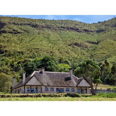 The Mischief, Fun, Serenity & Beauty Of Happy Valley: Memiors of Happy ...