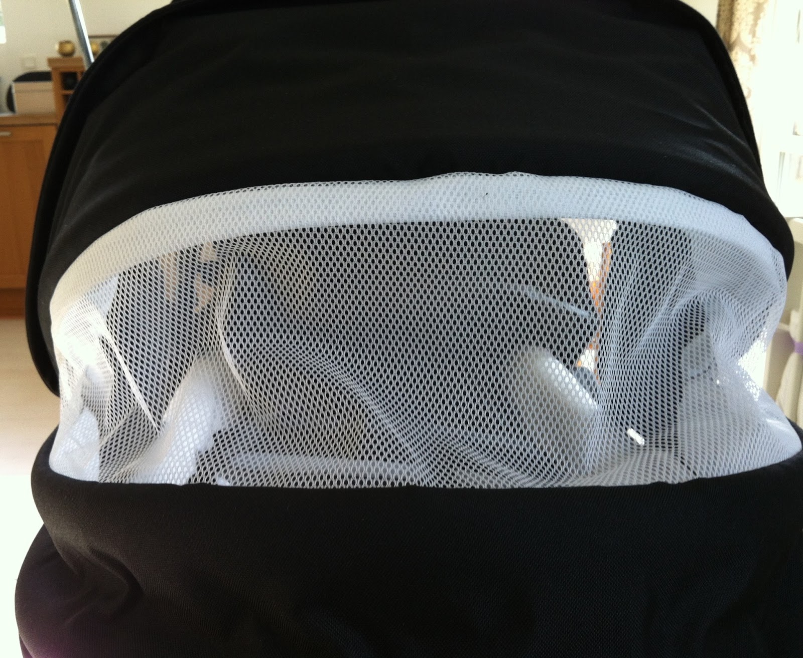 Sienna Eriksen: Kombivognen fra Bess´erne