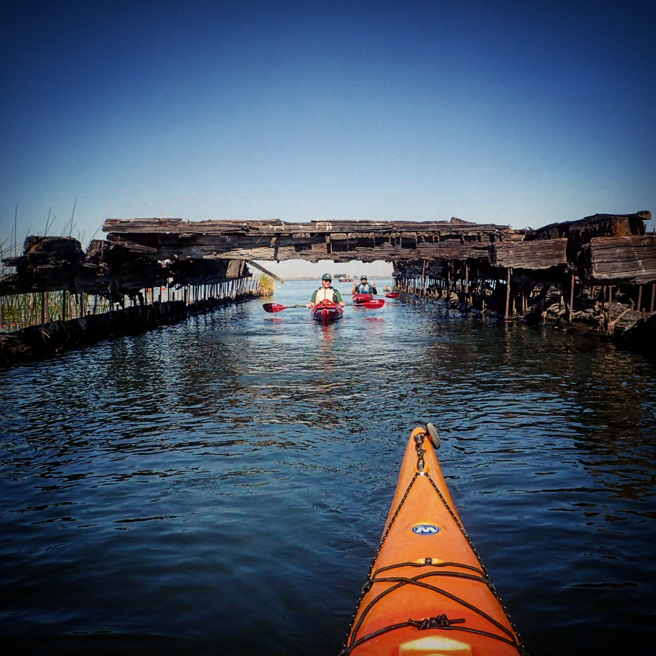 Kayaking the California Delta: San Francisco Bay Area Water Trail