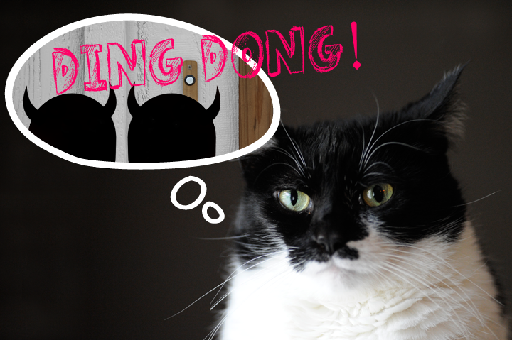 GLOGIRLY: And Then The Doorbell Rang