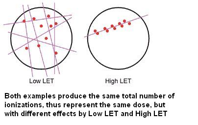 shivajirao: IMPOSSIBILITY OF SAFETY OF NUCLEAR PLANT AT KUDANKULAM