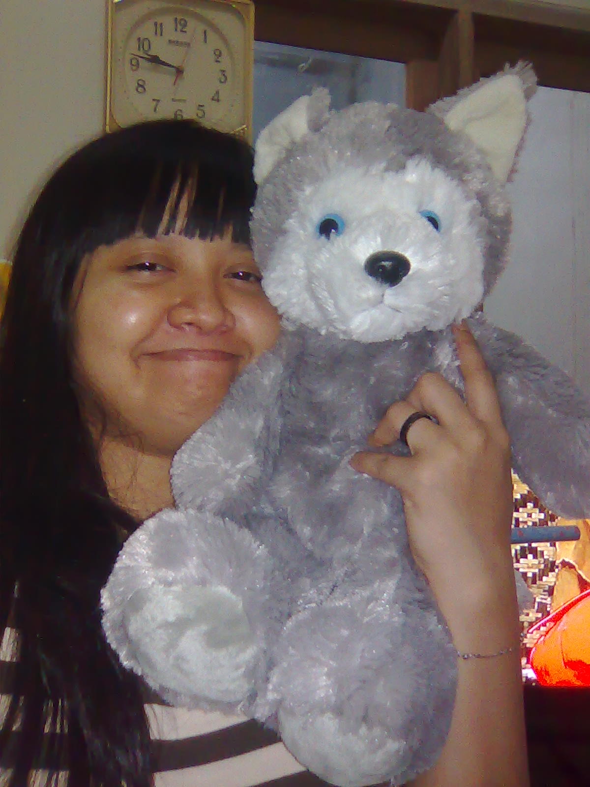 Everything: Koleksi Boneka Serigala atau Siberian Husky