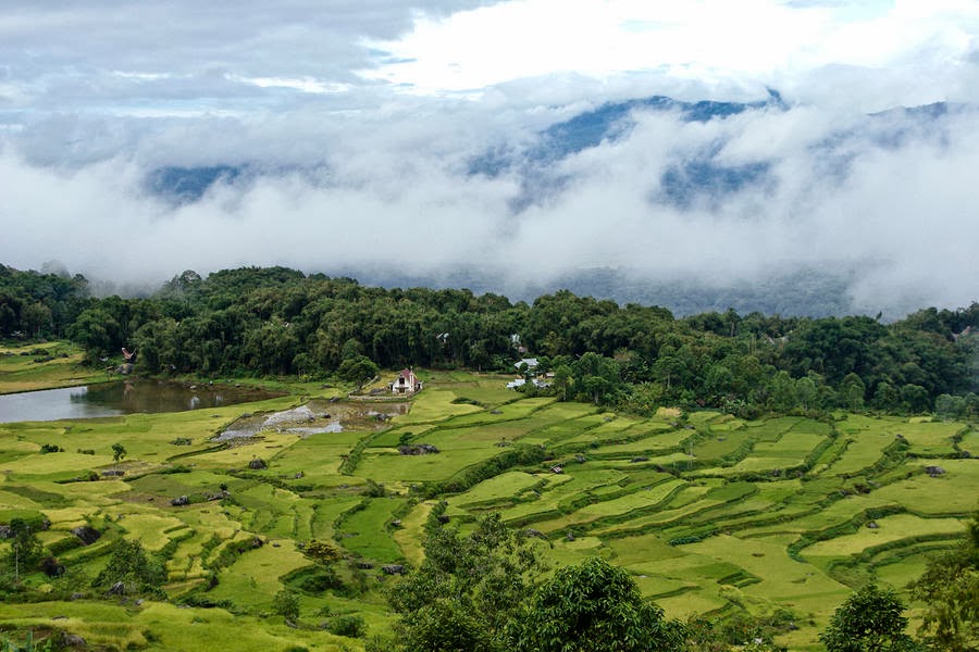 Batutumonga, Senandung Budaya di Atas Awan - Toraja Paradise
