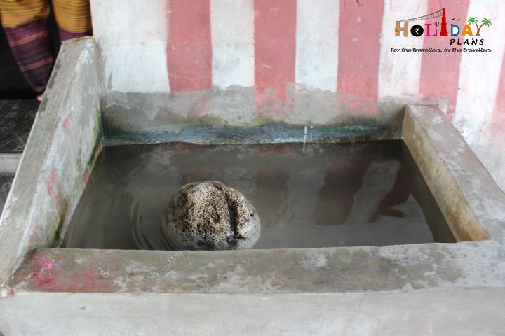 Excursion to the South: Dhanushkodi ! | Travel Blog for Popular and ...