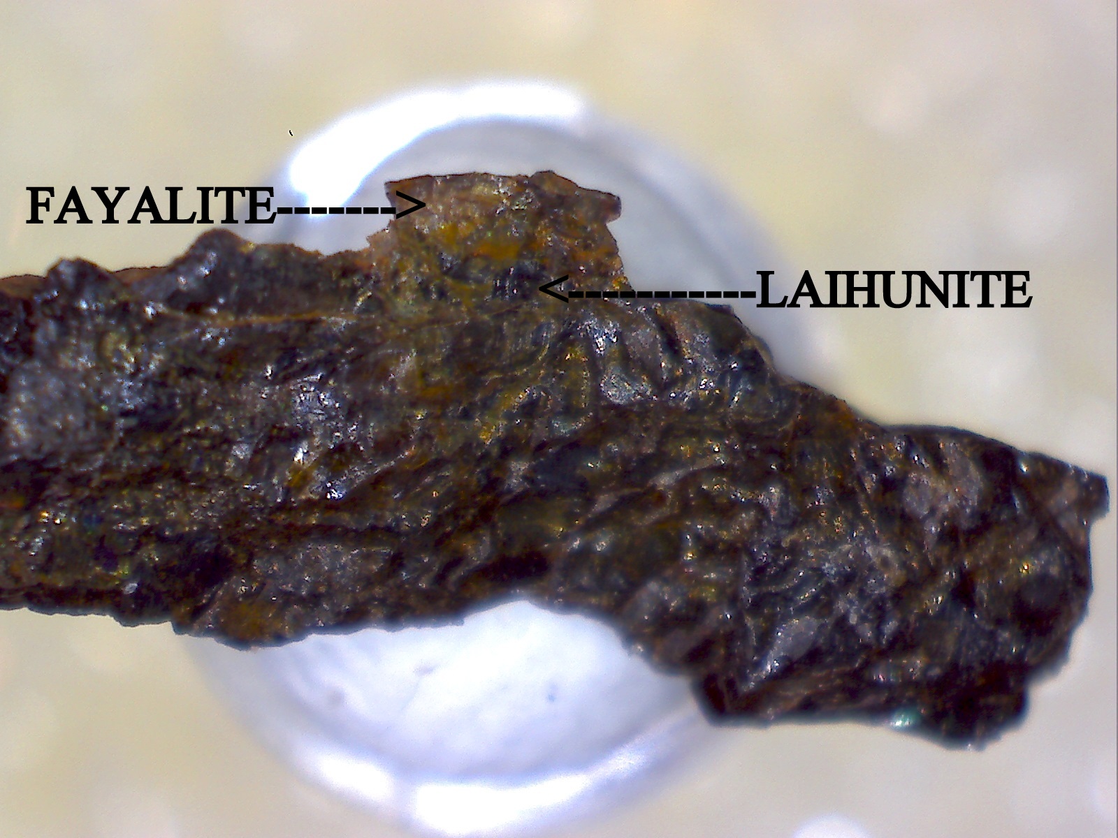 CSMS GEOLOGY POST: 04/24/13