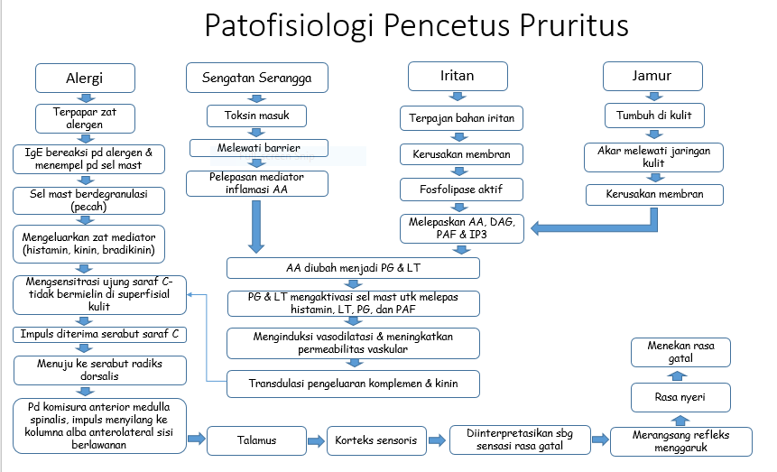 Dermatitis Kontak Alergi | Pieter's Blog