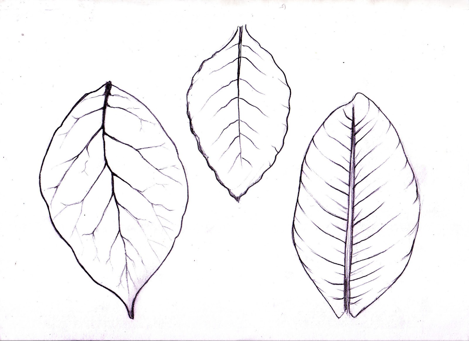 RIDHO ART: BELAJAR MENGGAMBAR