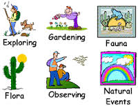 Brainberg: Multiple Intelligence 8. Naturalistic Intelligence