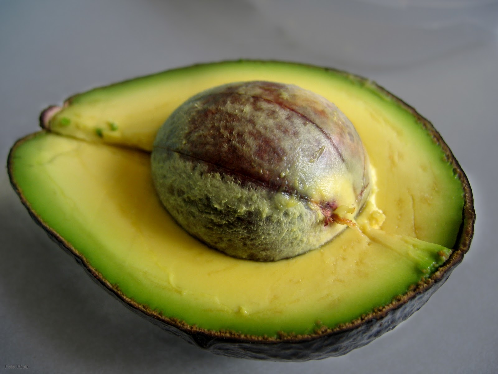 ¿Qué comidas se pueden hacer con palta?