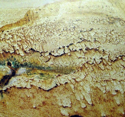 FRACTAL ART: Decalcomania