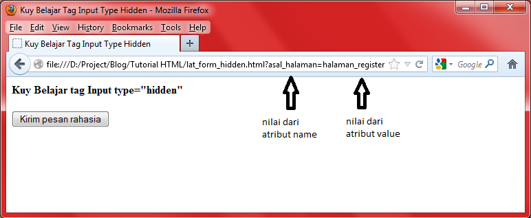 Fungsi Input Type Hidden Beserta Cara Penggunaannya