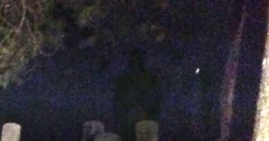 Phantoms and Monsters - Real Cryptid Encounter Reports - Fortean ...