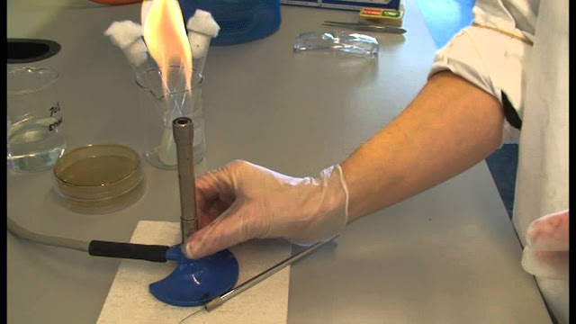 The most known Aseptic Techniques in Microbiology Laboratory - Biology ...