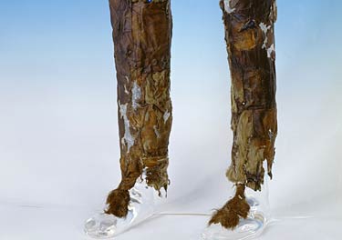 Sciency Thoughts: Identifying the clothes of Ötzi the Iceman.