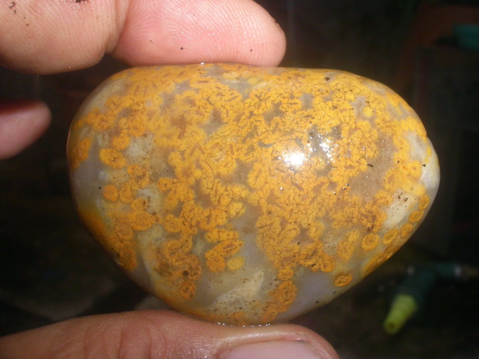 Batu Cincin/Akik Bengkulu: Batu cincin/akik Bengkulu koleksi sulistyo ...