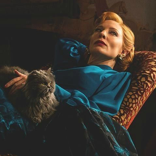 Dorothy Surrenders: The Cate-Cat Club