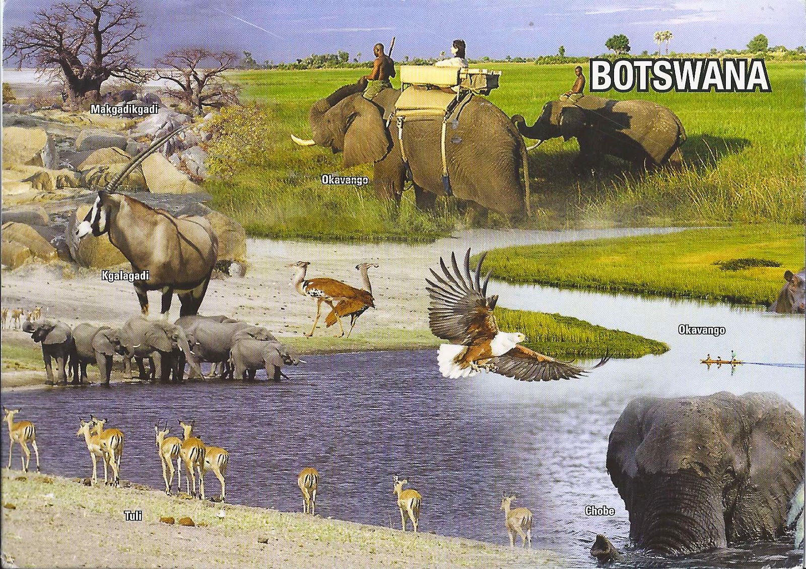 A Journey of Postcards: Botswana