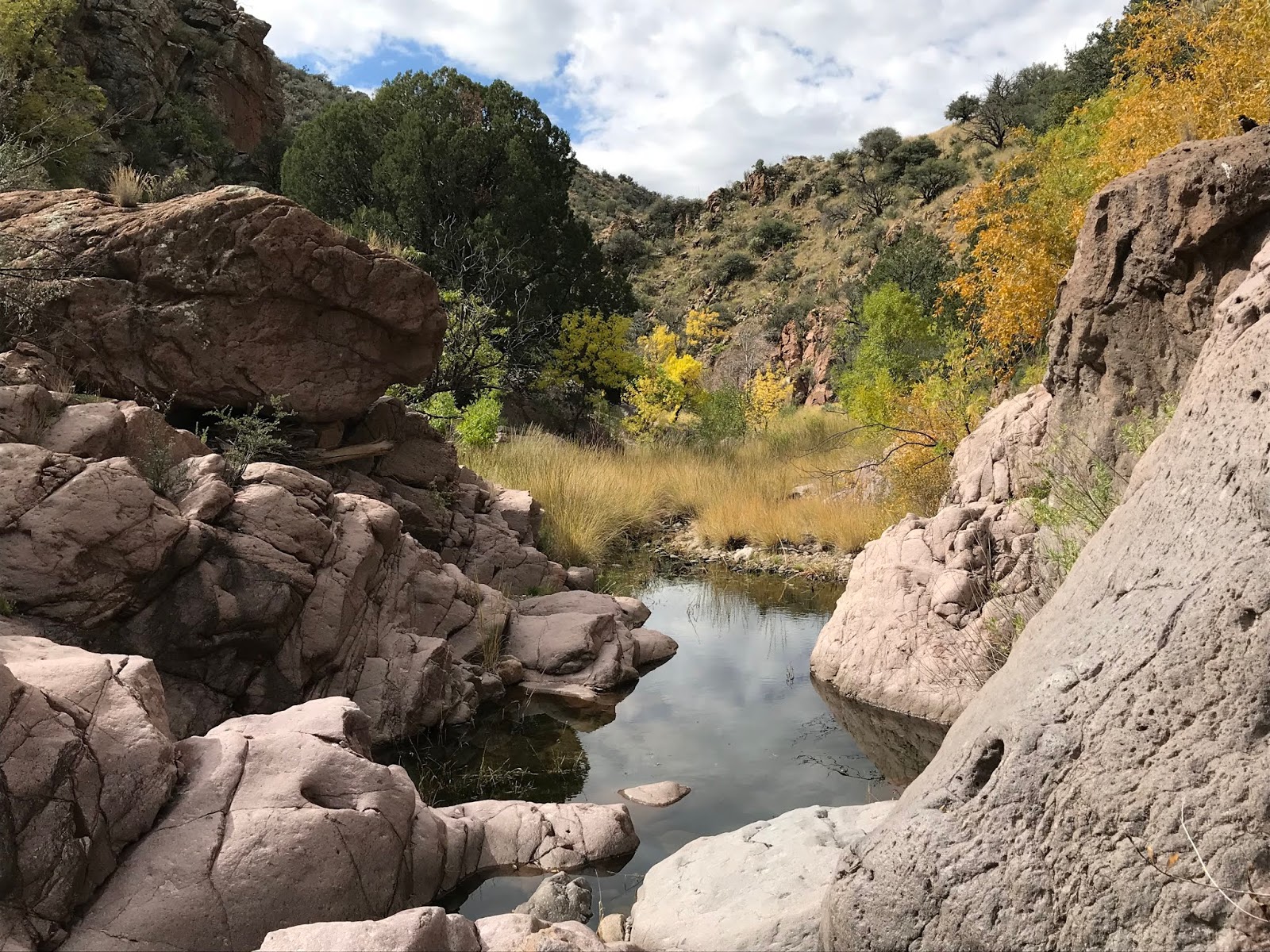 Southern New Mexico Explorer: Noonday Canyon Box-Gila National Forest