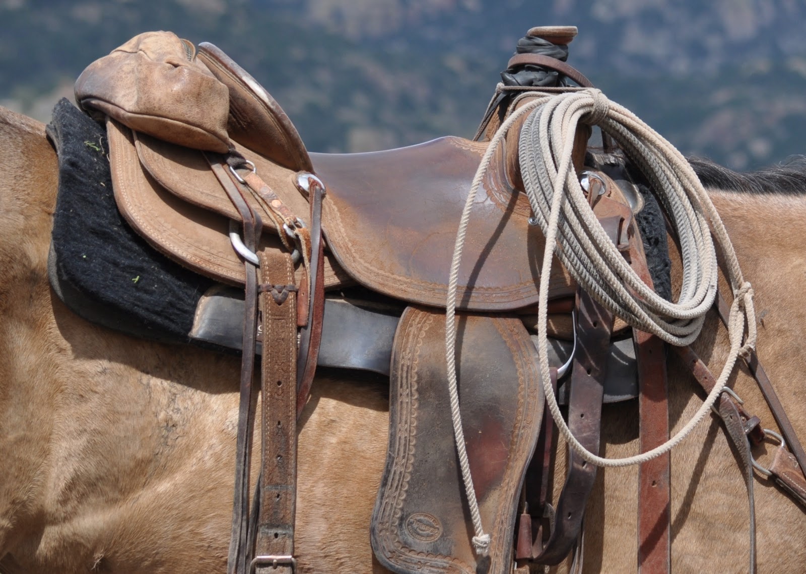Living on Winchester Ranch: Saddles, Ropes, Canteens, and other Gear