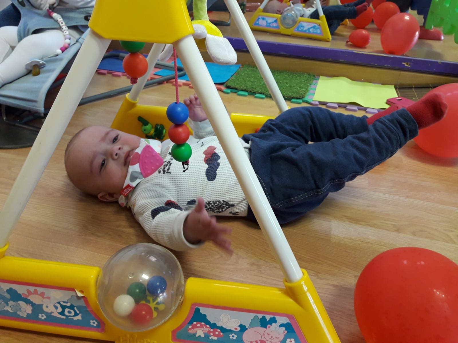 SETMANA DEL COLOR GROC