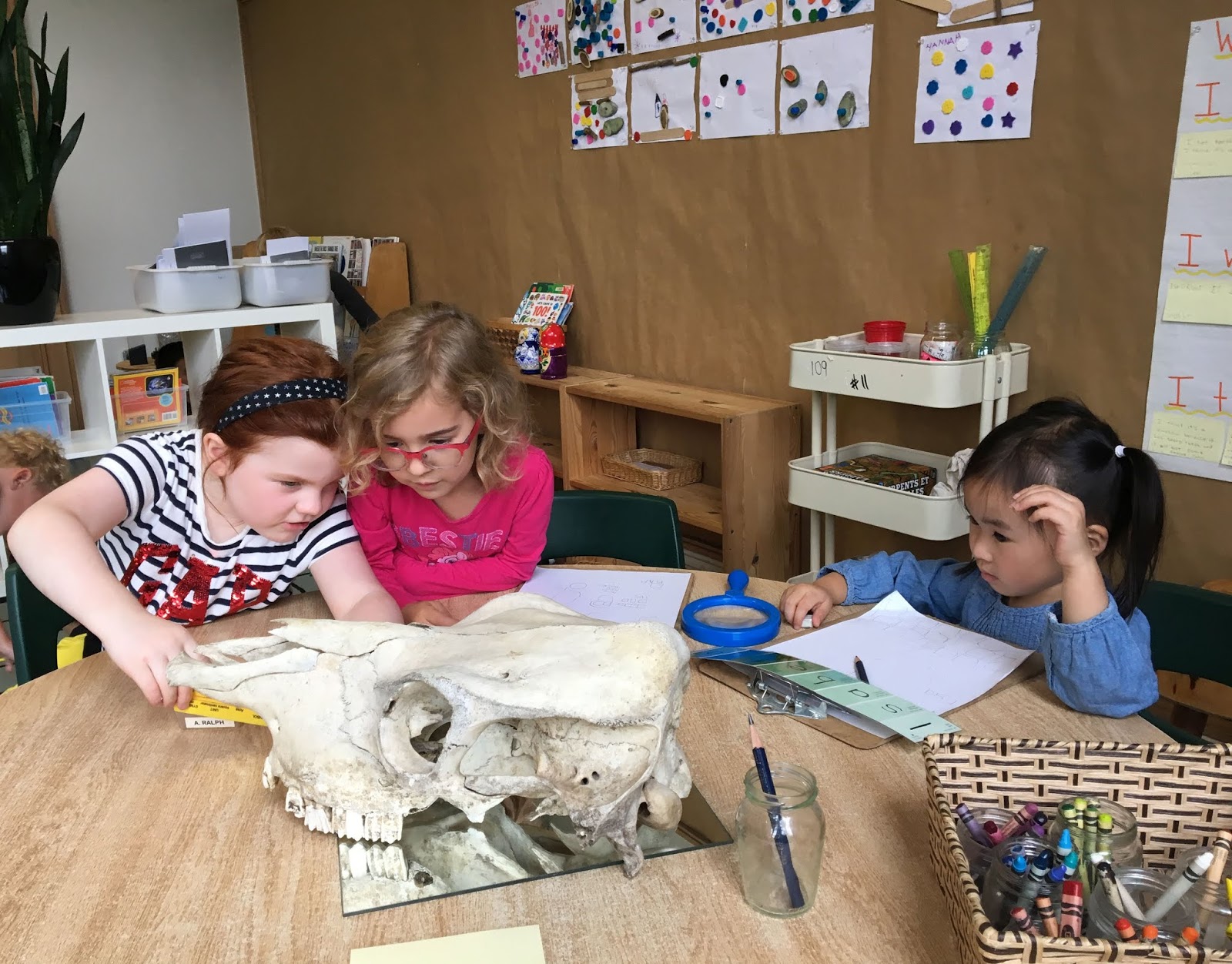 Wonders in Kindergarten: Creating a classroom community: A look at our ...