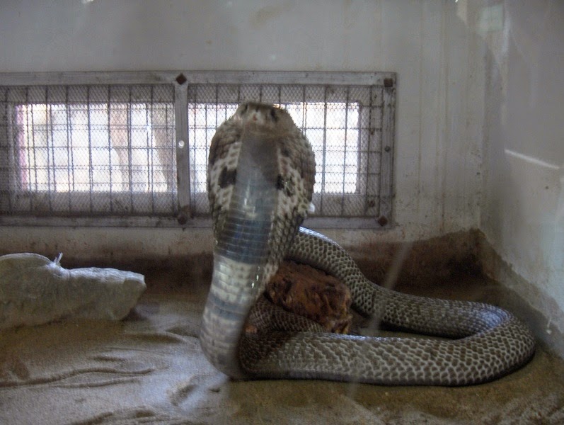 God's Own Country - Kerala: Kannur