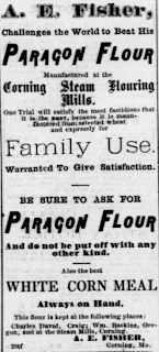 19th Century Historical Tidbits: 1875 Advertisements and Story Starters