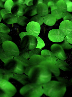 Touch Screen Wallpapers Free Download - Planet Wallpapers