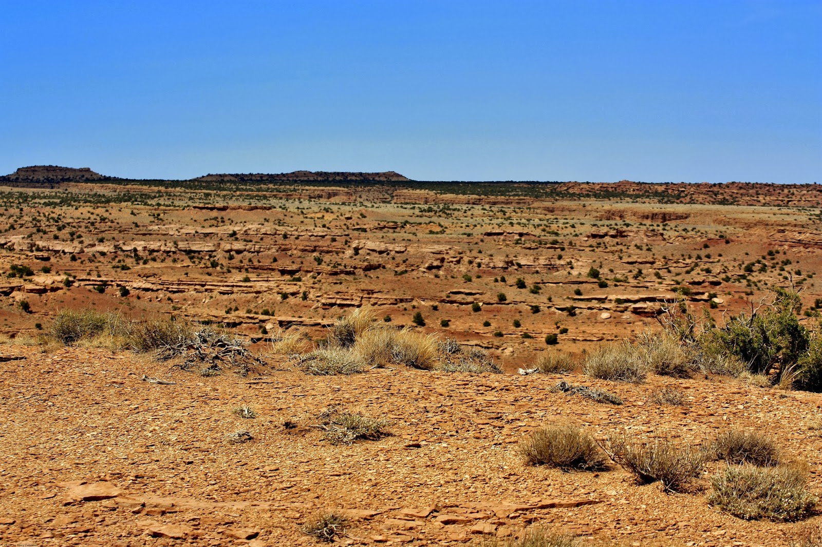 The Southwest Through Wide Brown Eyes: Oh Swell, the San Rafael Reef.