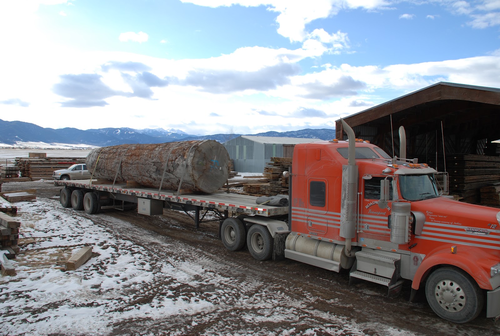 Montana Reclaimed Lumber Co.: Old Growth Douglas-Fir Logs