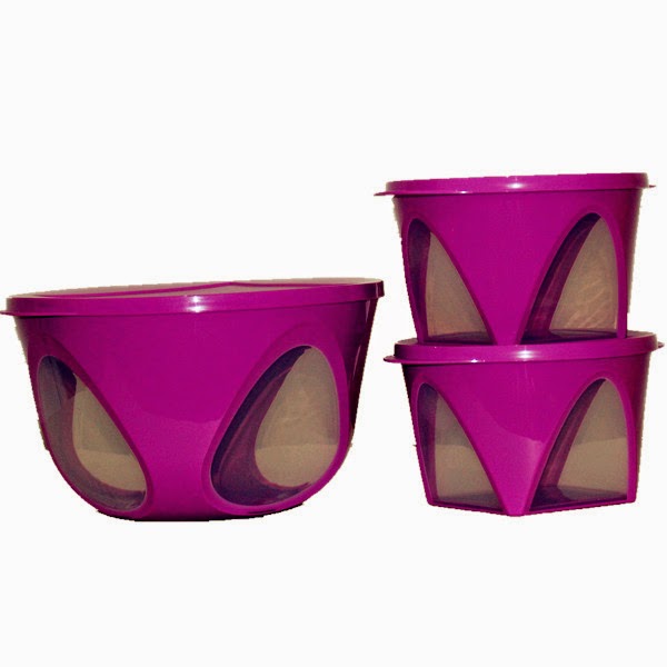 Tupperware Brand Malaysia::Tupperware: Tupperware Limited Release ...